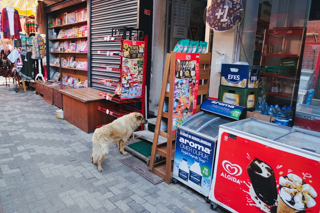 Business Card Generators For Pet Groomers Building Professional ...